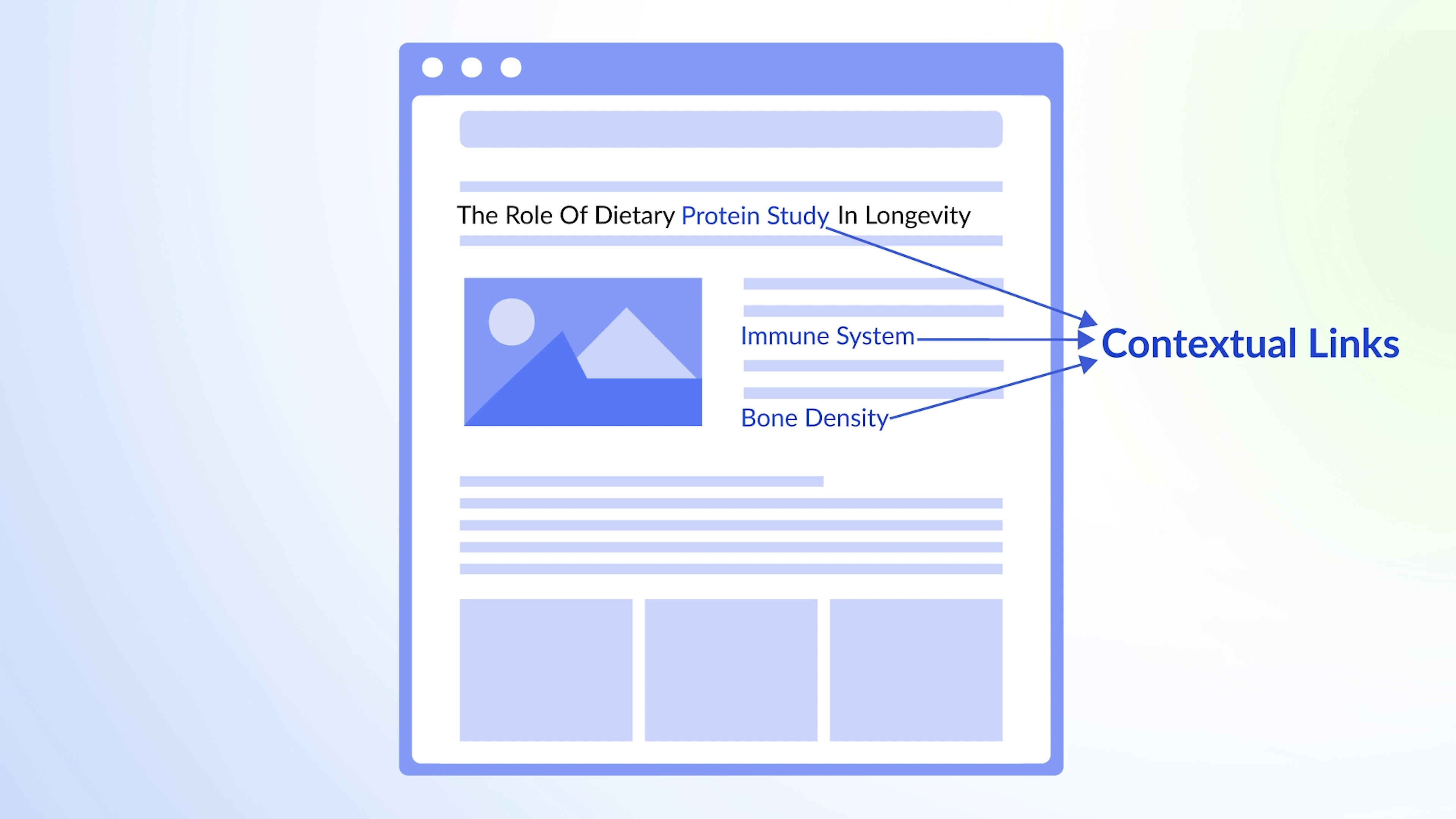 WriterZen Academy: Free Online Training & Courses